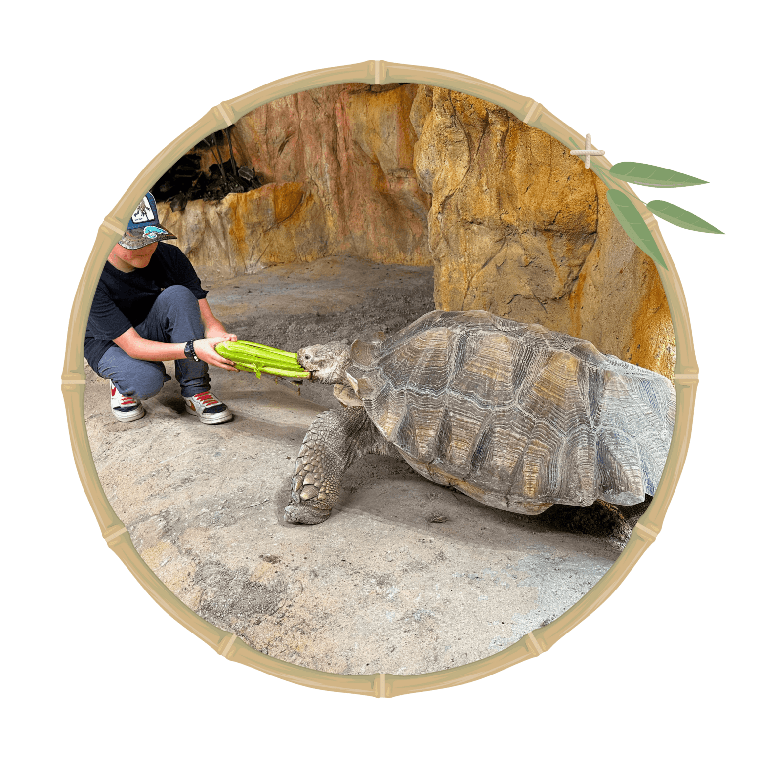 Behind The Scenes Experiences – Reptilia Zoo