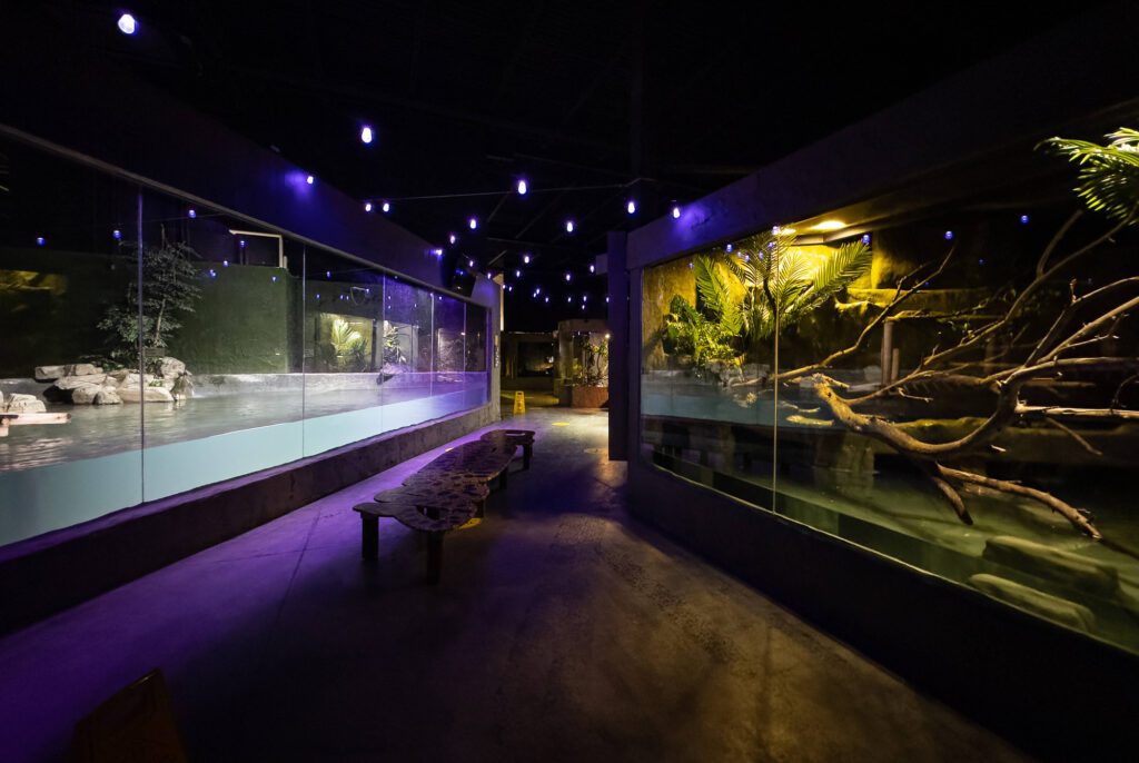Locations 2 – Reptilia Zoo